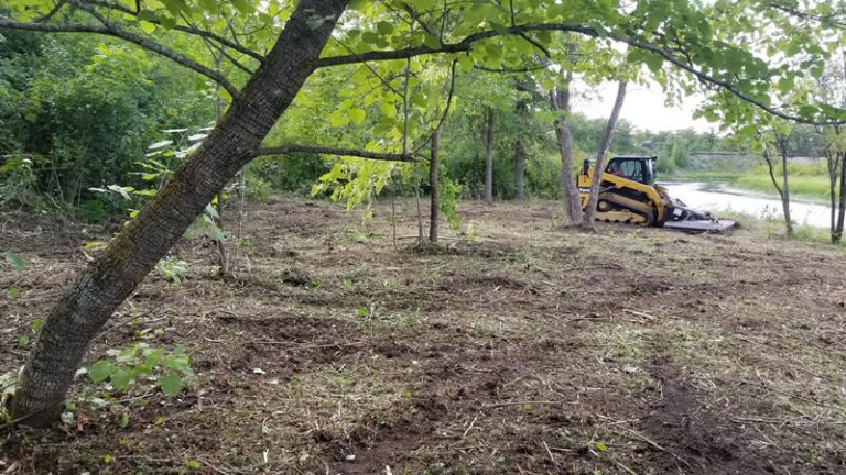 Lot and Land Clearing In Winnipeg Manitoba